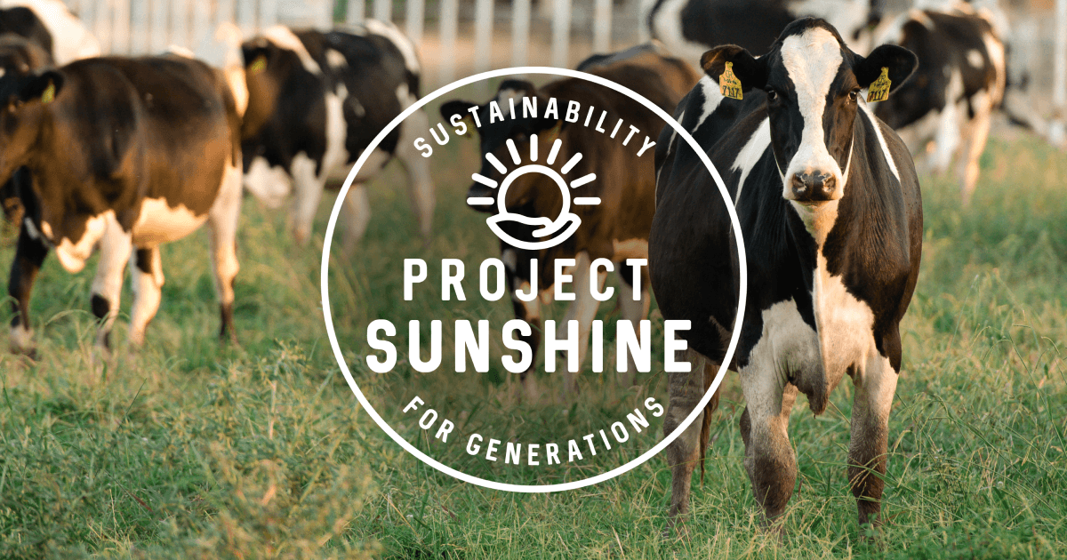 Project Sunshine - Challenge Dairy